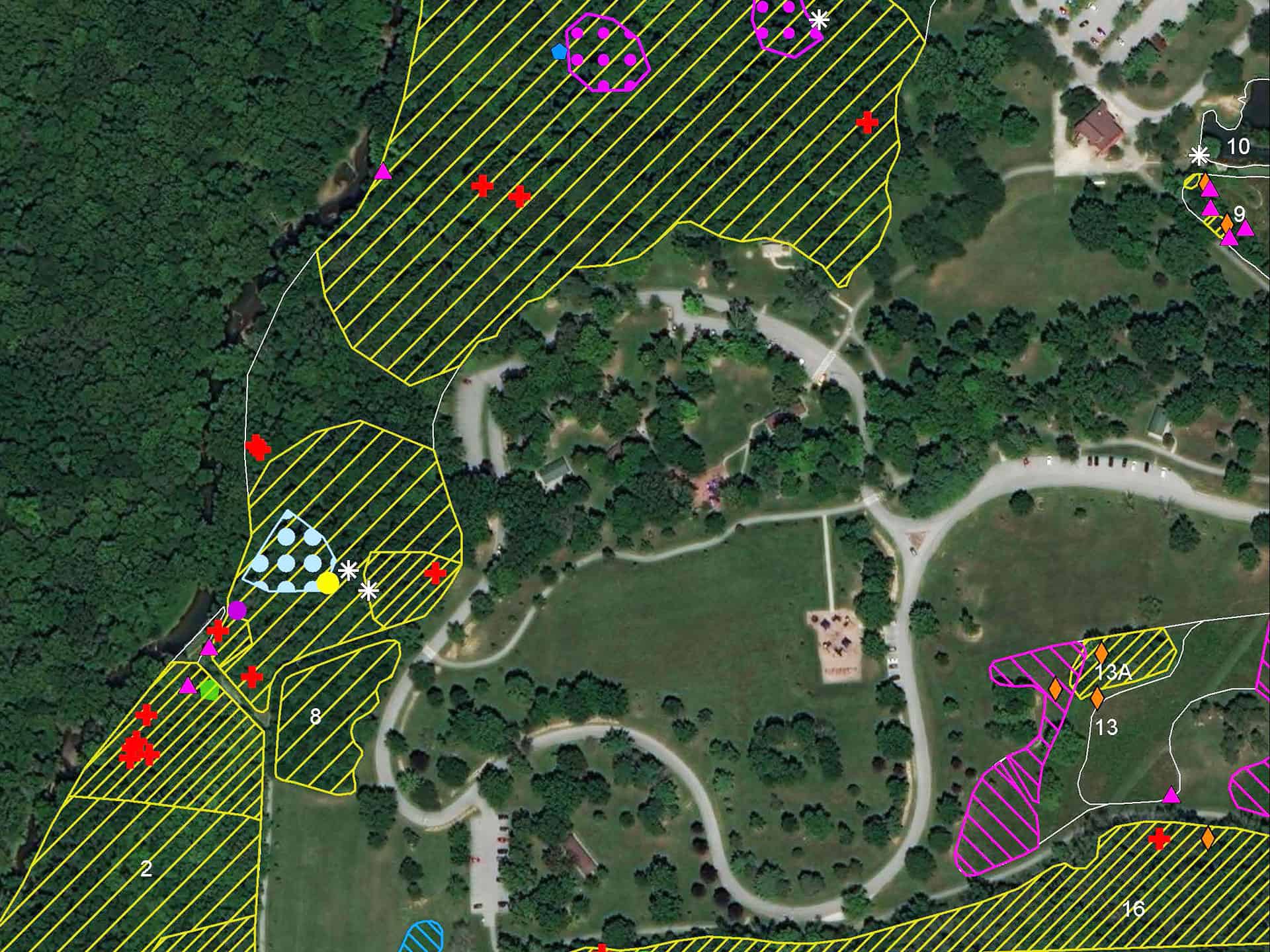 Consulting - Eco Logic