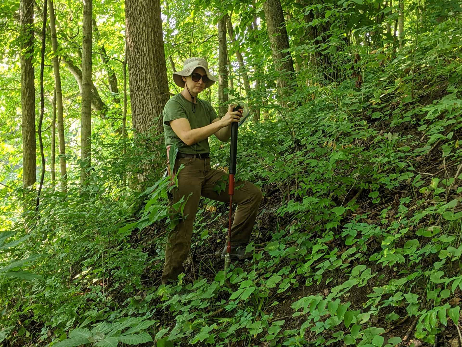Indy Stewardship Forest Carbon Storage Study - Eco Logic
