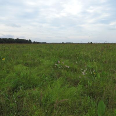 Employment Opportunities - Eco Logic